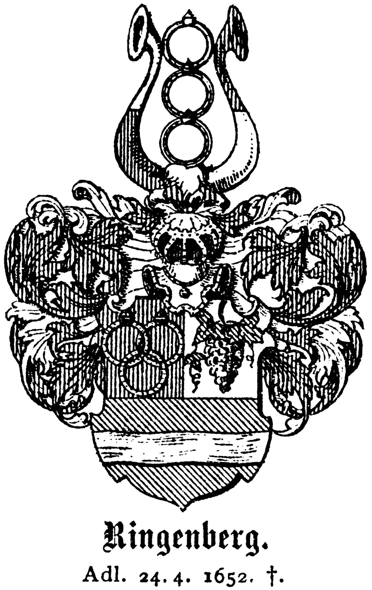 Ringenberg - Minerva