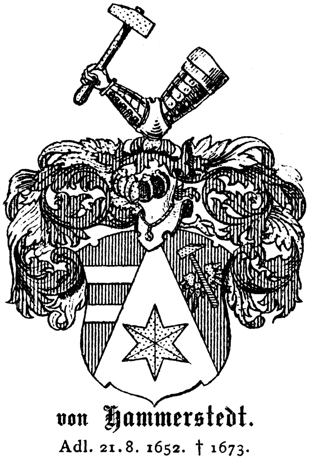 von Hammerstedt - Minerva