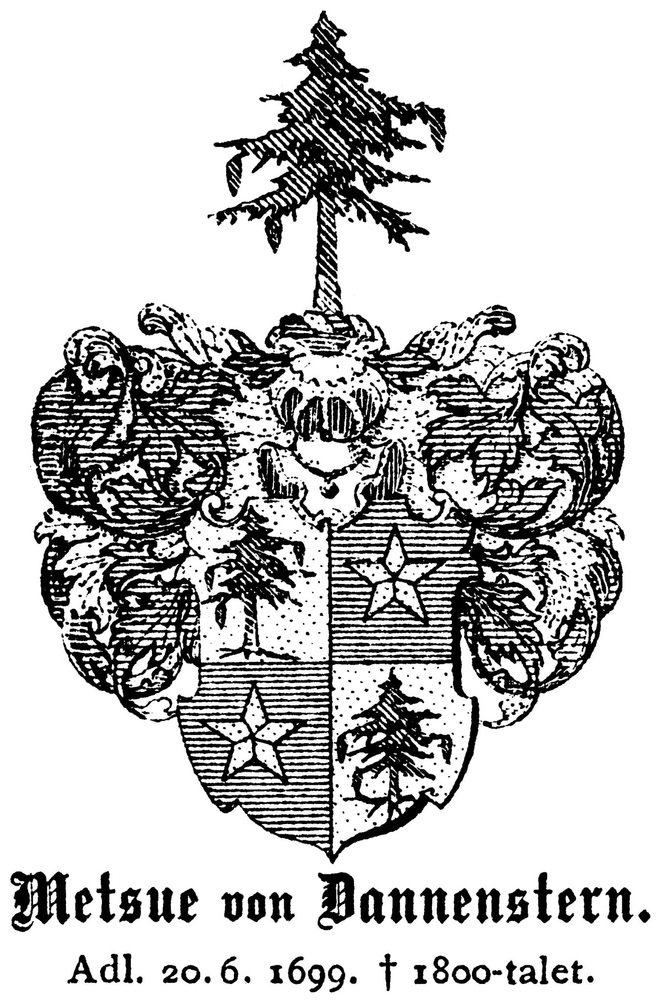 Metsue von Dannenstern (von Dannenstern) - Minerva